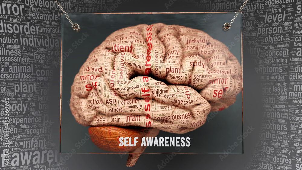 Self awareness anatomy - its causes and effects projected on a human ...