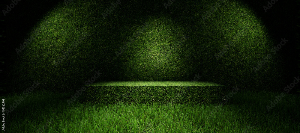 Professional soccer field stadium background, green soccer field studio ...