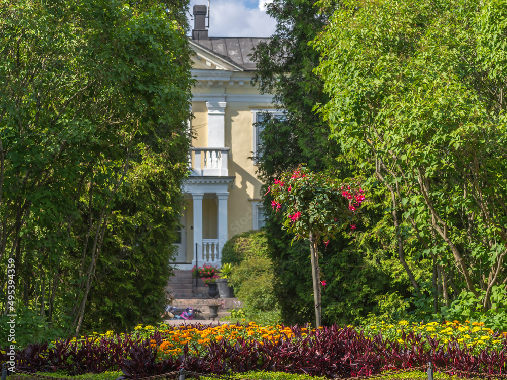Summer plants flowerbed with marigolds and a fuchsia tree in ...