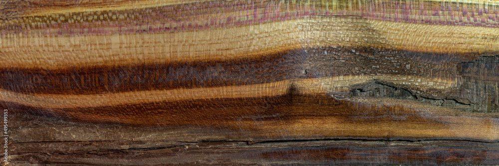 apple wood texture. A Macro Wood grain texture shot. wood texture ...