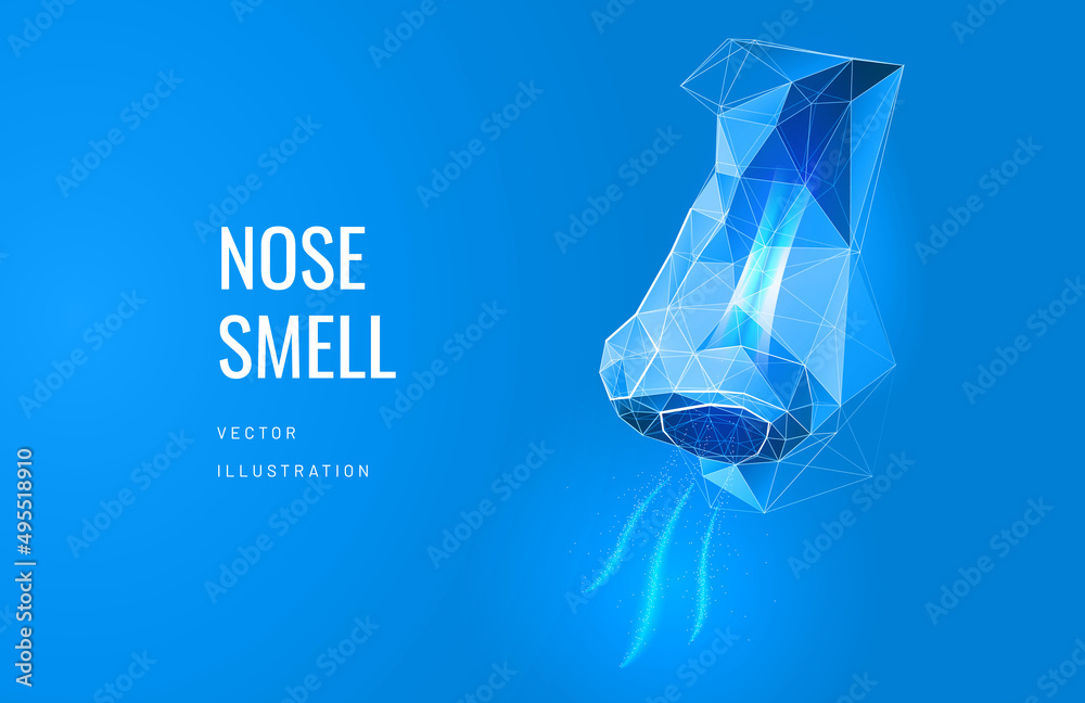 Nasal sense of smell in a futuristic polygonal style. The flow of air ...