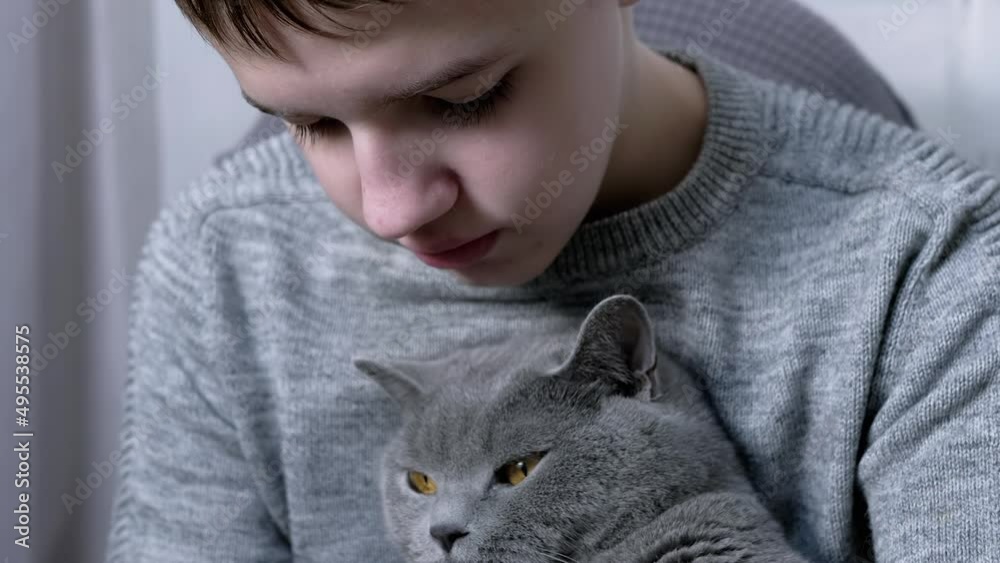 Sad Boy Holds and Hugs a Fluffy Cat in his Arms, Sitting in an Armchair ...