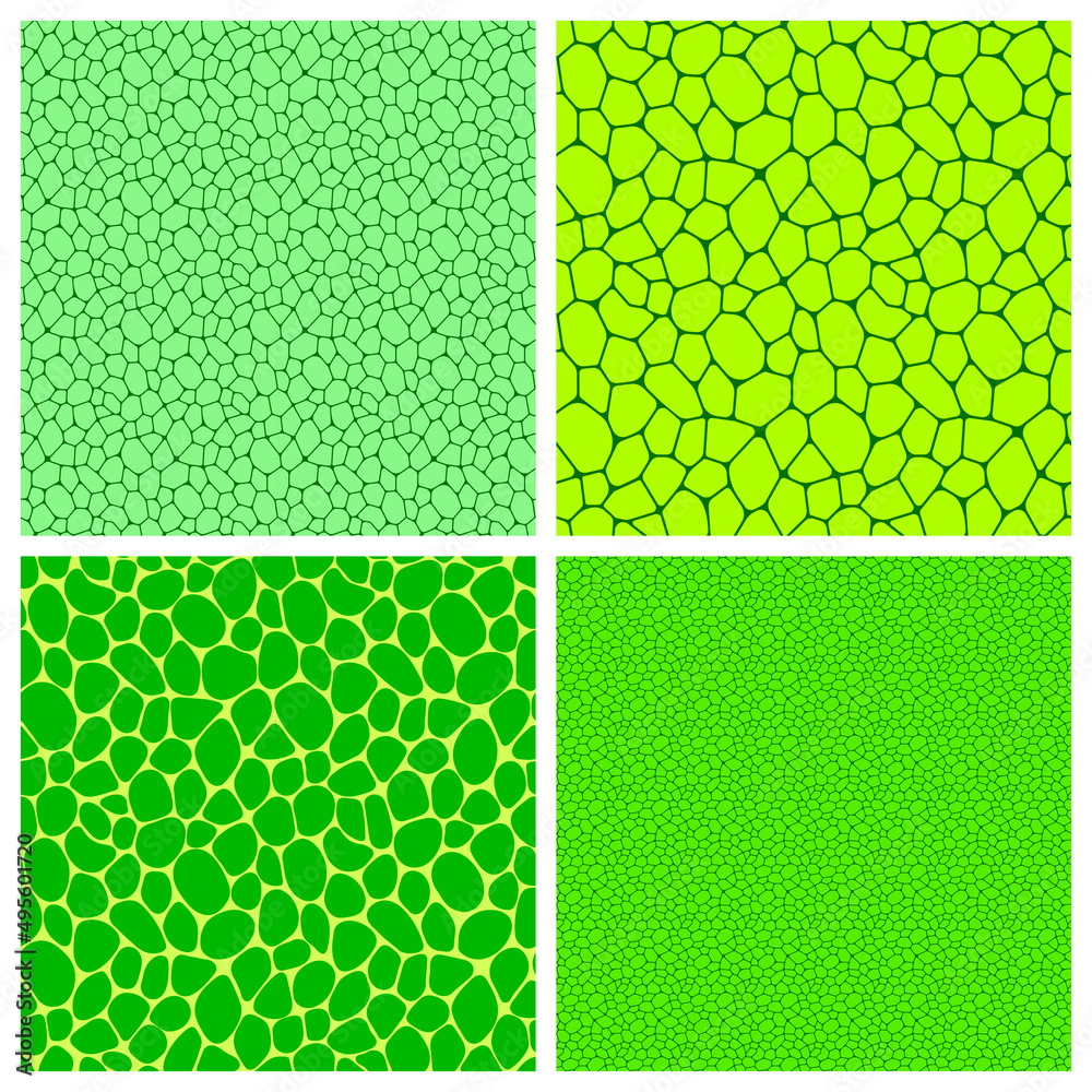 Plant structure vector illustration. Fresh greenary template background ...