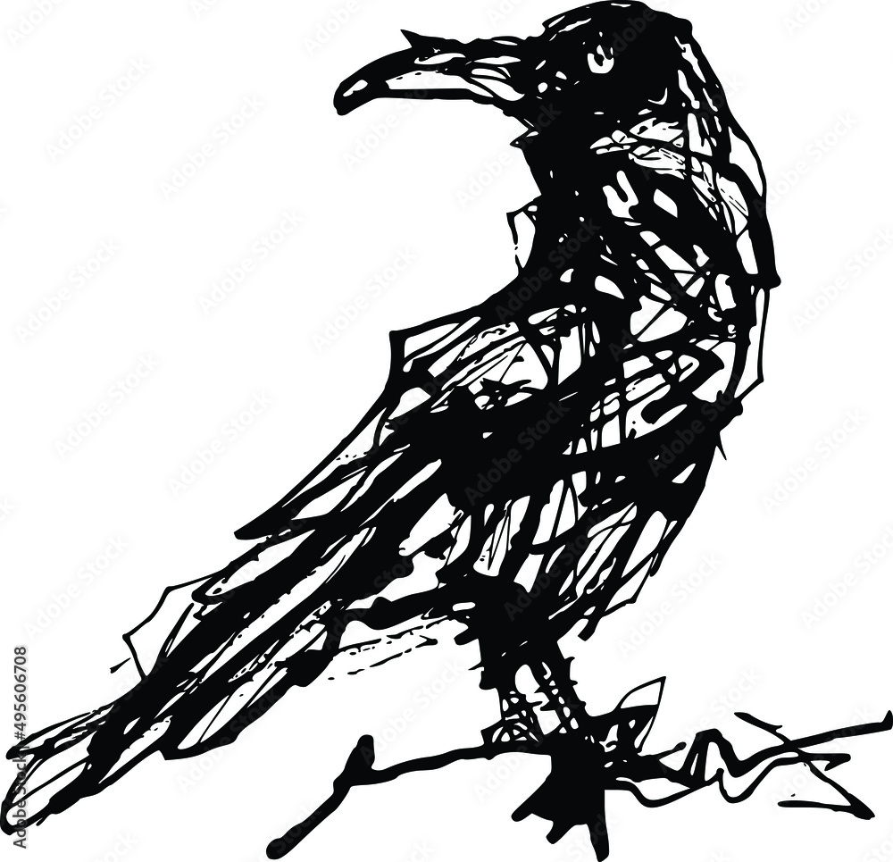 raven bird with closed wings - black and white vector outline Stock ...