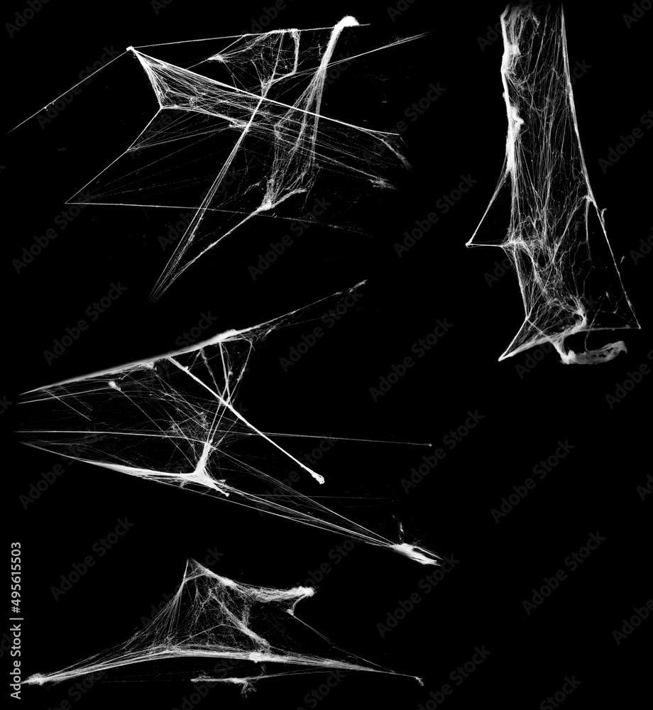 Overlay the cobweb effect. A collection of spider webs isolated on a ...
