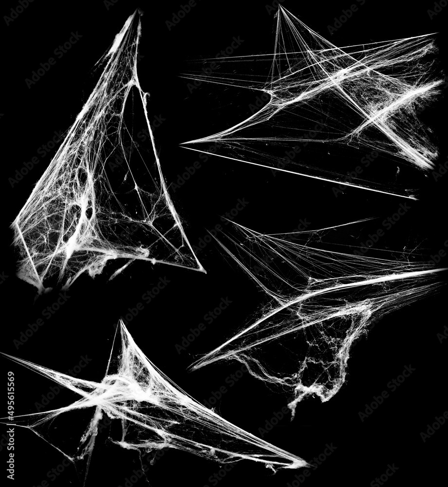 Overlay the cobweb effect. A collection of spider webs isolated on a ...