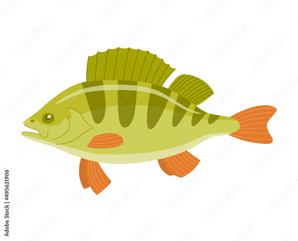 River fish perch. Cooking delicious food. Underwater life. Cartoon ...