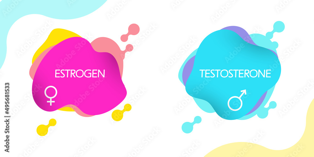 estrogen and testosterone hormones molecular skeletal formula with ...