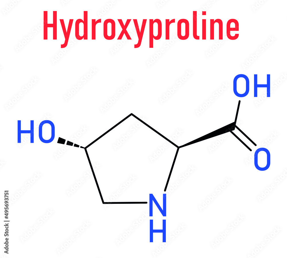 Hydroxyproline Structure