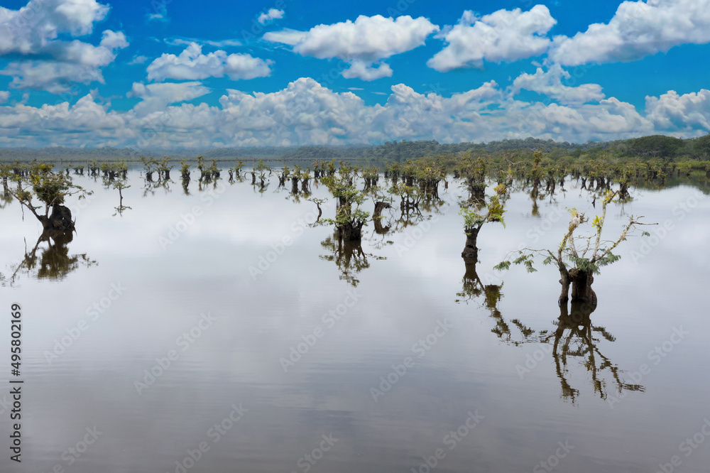 Relaxing nature background of a lagoon in a tropical forest, flying ...