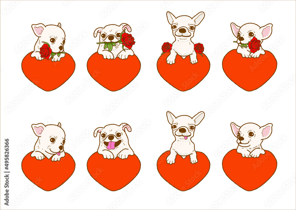 Cartoon chihuahua dog holding red rose flower in mouth with heart ...