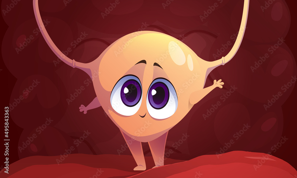 Human bladder funny cartoon character. Kawaii internal organ, urinary ...