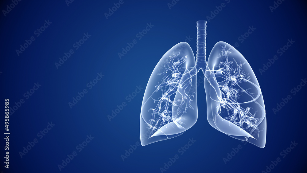 Human lungs healthcare and medical abstract background ilustración de ...