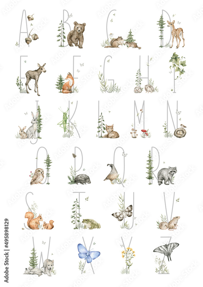 Alphabet with watercolor forest animals and nature elements. English ...