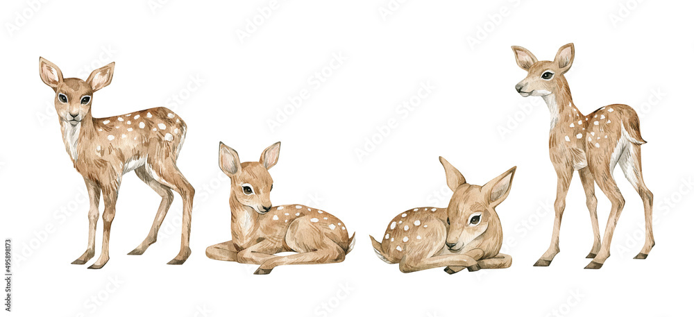 Watercolor cute forest animals. Baby deers. Hand-painted woodland ...