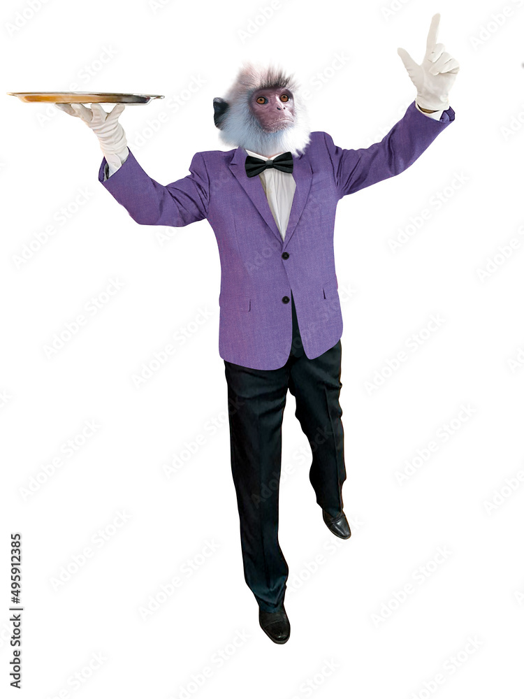 singe, cocktail, , serveur, restaurent, maître d'hôtel, garçon, en ...