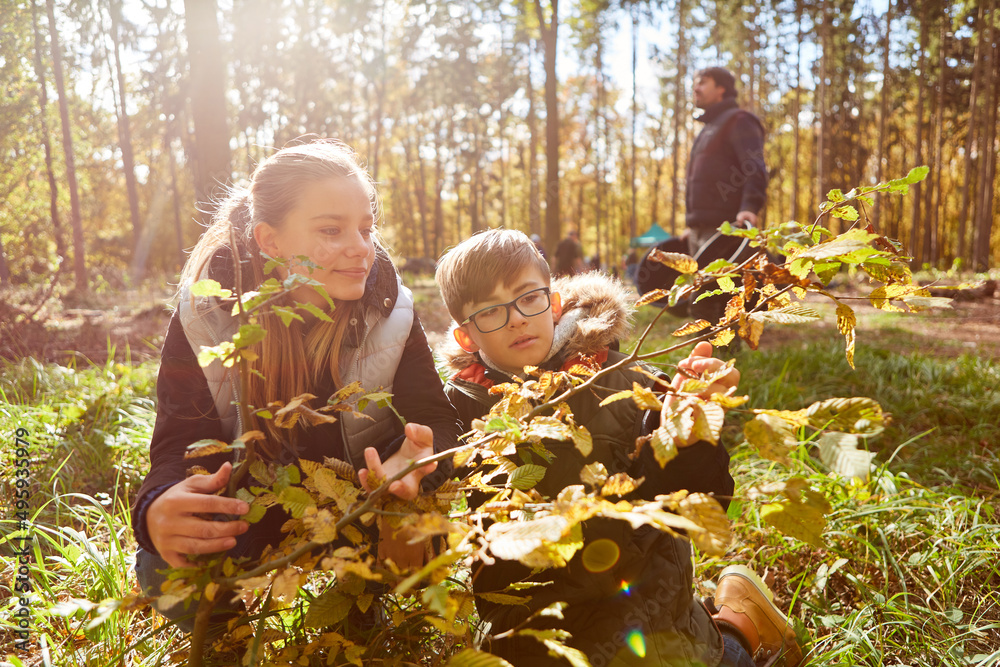 Two children identifying a tree as nature education Stock Photo | Adobe ...