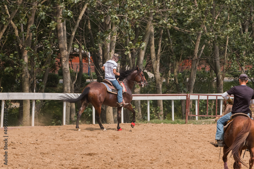 horse farm, young rider on horseback. Horseback riding at the ranch ...