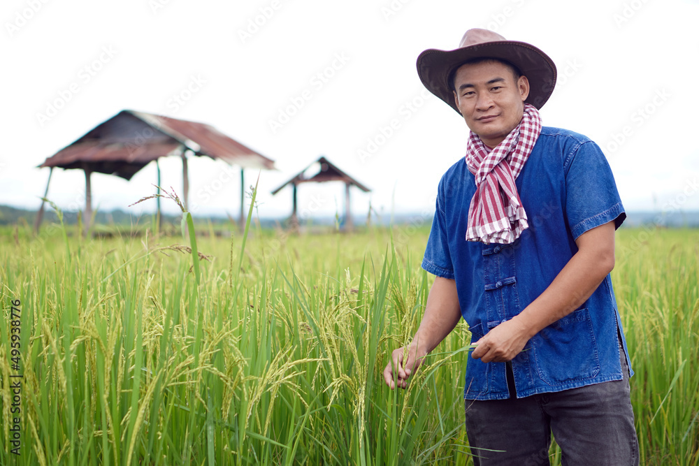 Portrait of Asian Thai man farmer wears hat and scarf is at paddy field ...