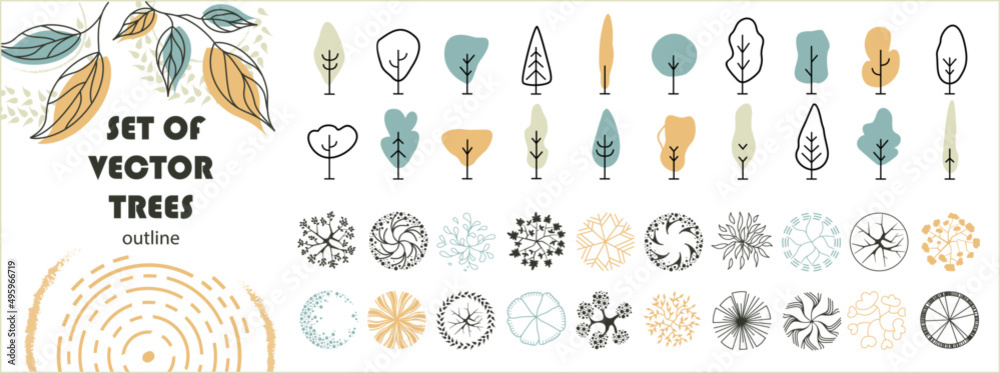 Set of vector trees. Entourage design for the plan. Various trees ...