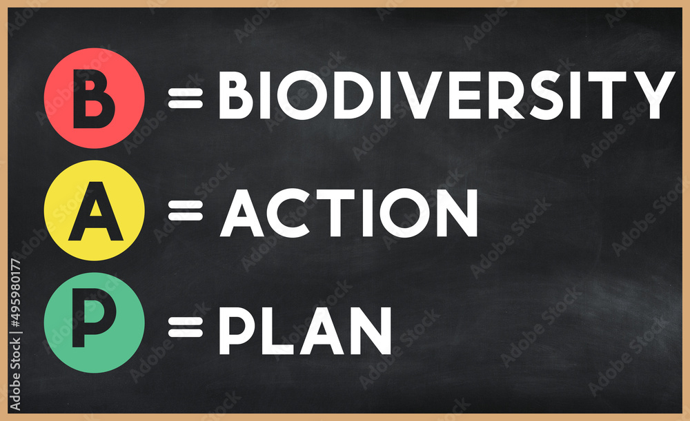 Biodiversity action plan - BAP acronym written on chalkboard, business ...