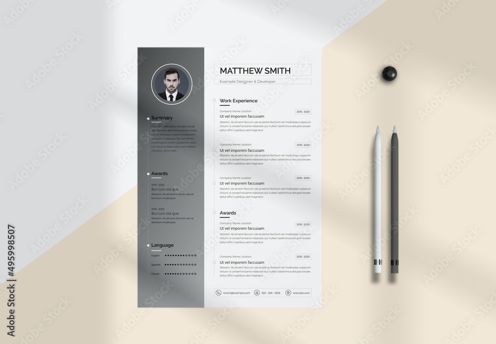 Professional Resume Layout Stock Template | Adobe Stock