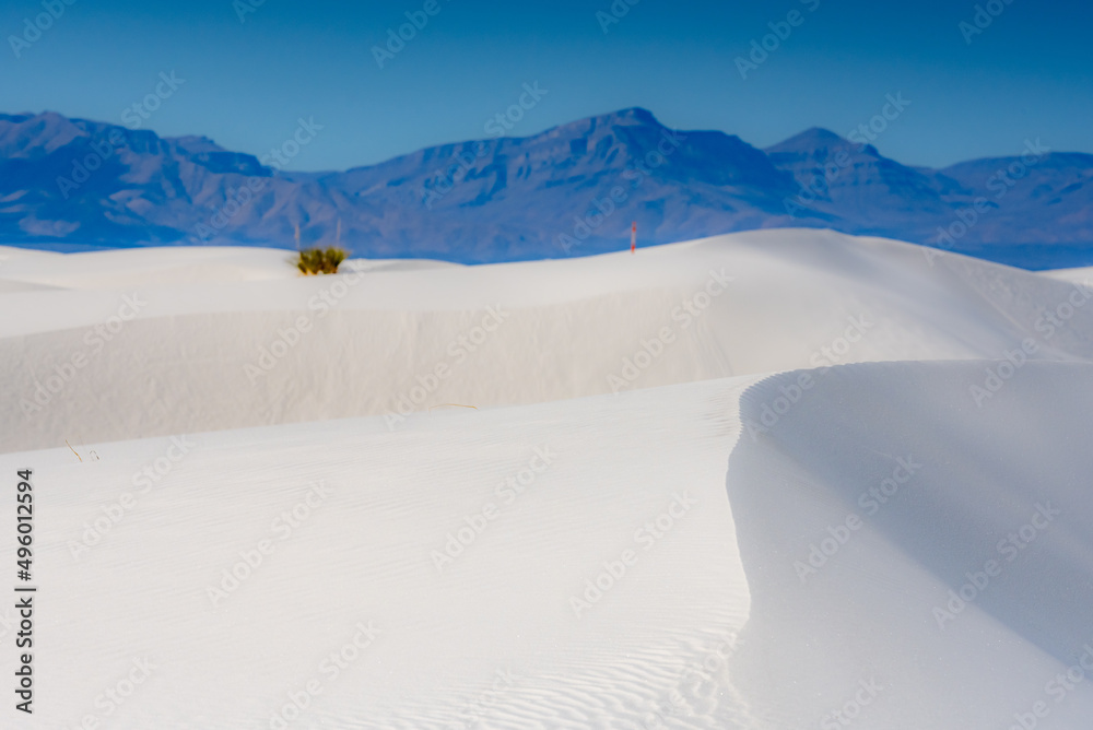 Sand Dunes Rise And Fall Along Trail Through White Sands Stock Photo ...