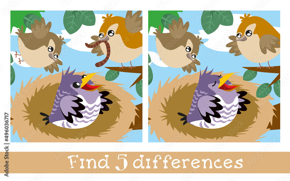 Find 5 differences. Game for children. Birds near nest. Hand drawn full ...