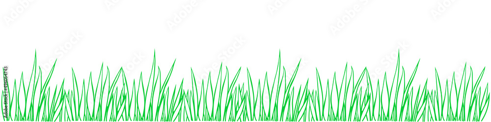 Vector green outline of grass isolated on white background. Herbal ...