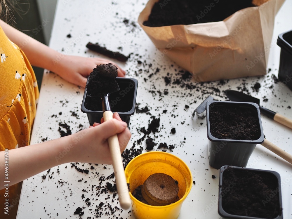 Female child hands holding garden tools. Little girl planting seeds in ...