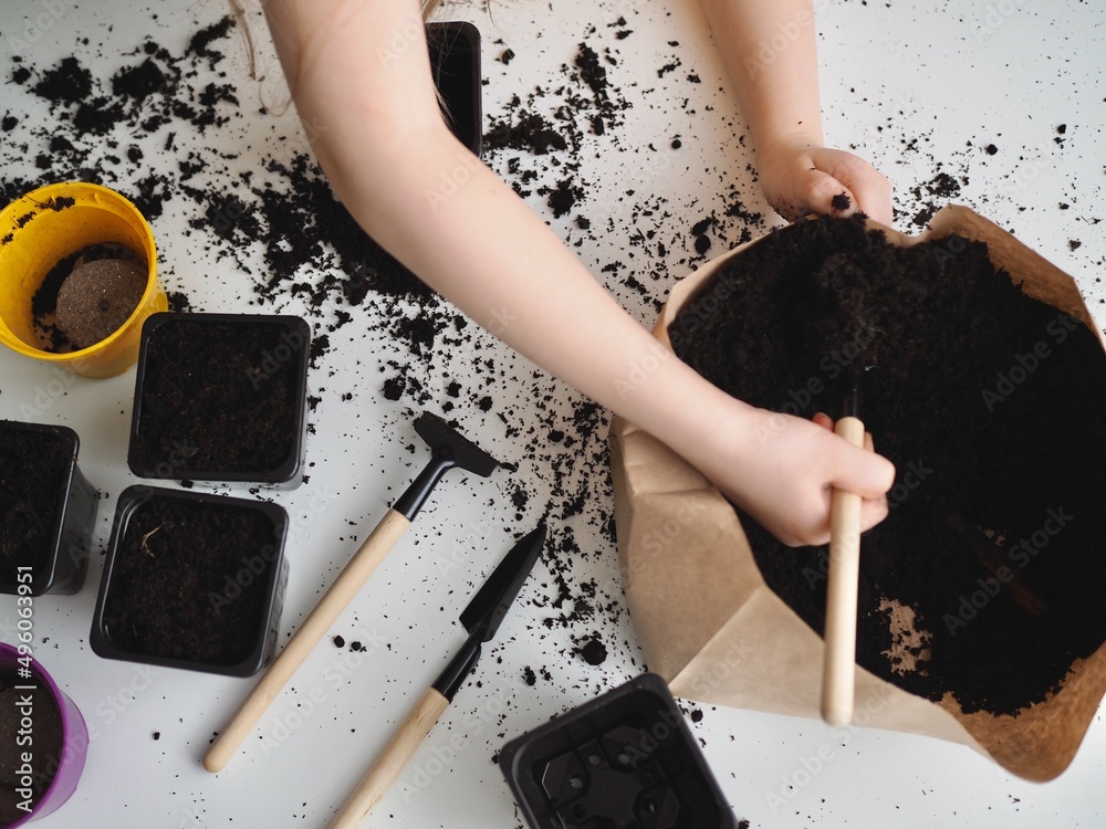 Female child hands holding garden tools. Little girl planting seeds in ...