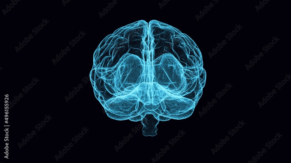 Digital image of the brain on the black background. Artificial ...