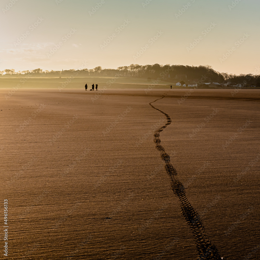 The track of a beach bike follows past three wild water swimmers at ...