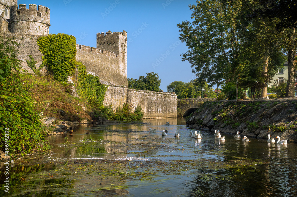 Photo & Art Print Tower and walls of Cahir castle on the river Suir ...
