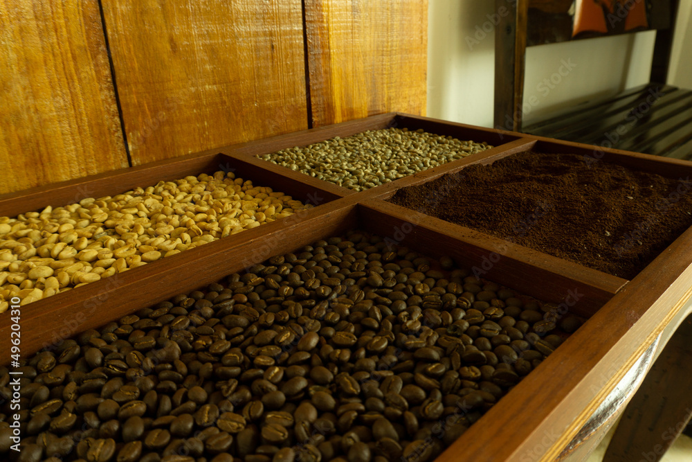 Procesos del Café Stock Photo | Adobe Stock