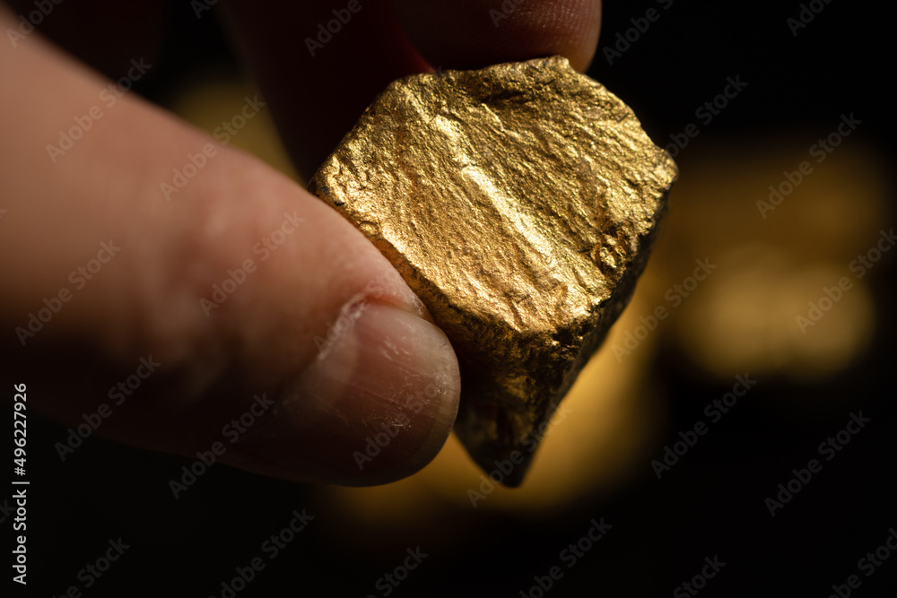 Mining man's hand holds a lump of pure gold from the mine and examines ...
