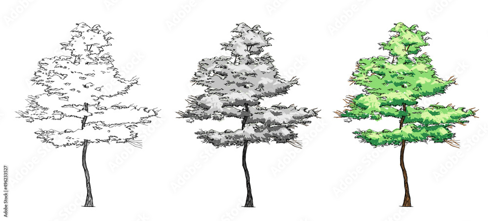 hand line drawing of watercolor green tree isolated on white background ...
