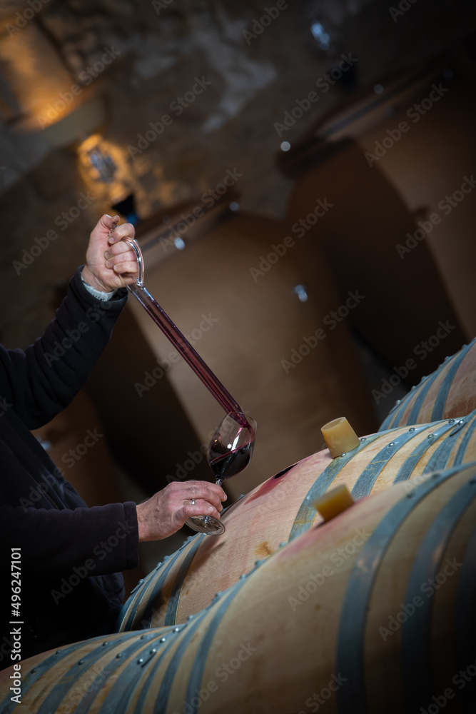 FRANCE, GIRONDE, SAINT-EMILION, SAMPLING A GLASS OF WINE IN A BARREL ...