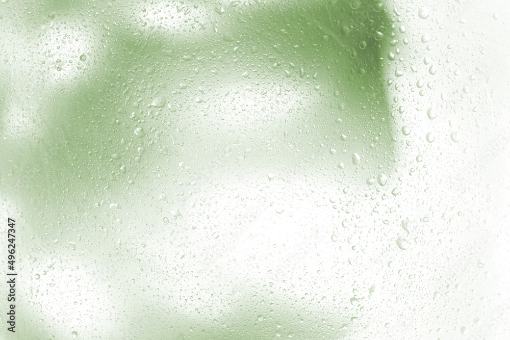 foggy background, blurry monstera leaf in white pair, water drops on ...