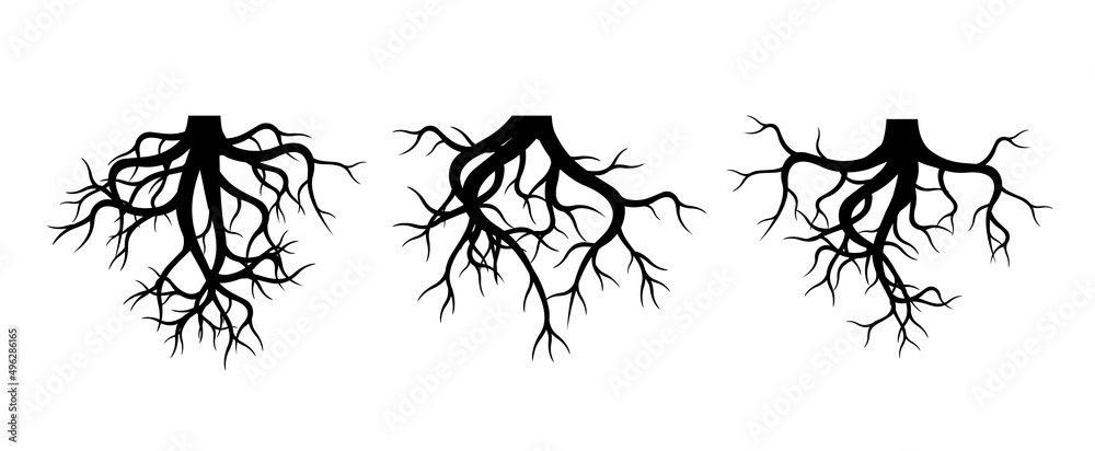 Collection of Tree Roots. Vector outline Illustration. Plant in Garden ...