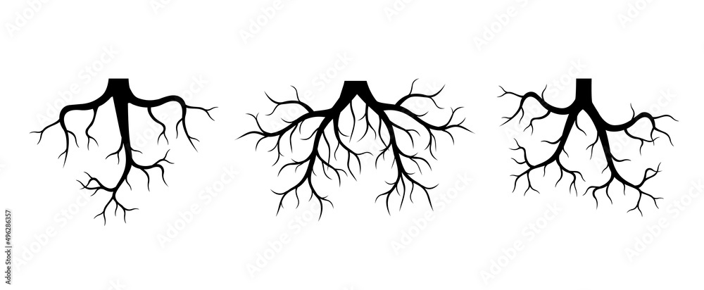 Collection of Tree Roots. Vector outline Illustration. Plant in Garden ...