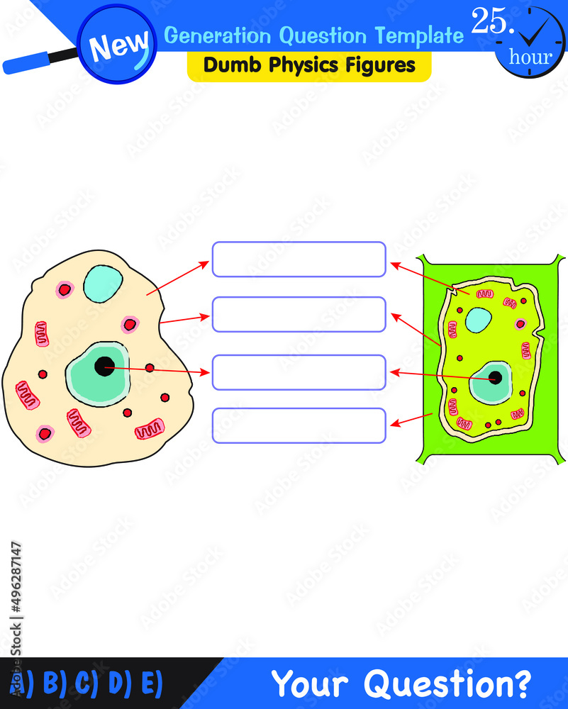 Biology, Education Chart of Biology for Animal and Plant Cell Diagram ...
