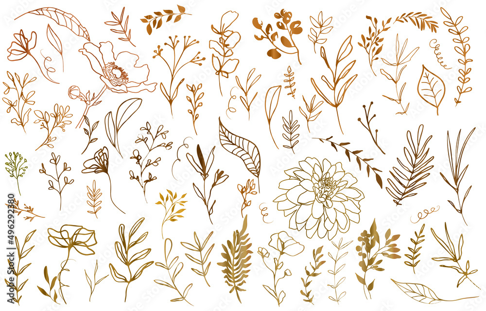 Big hand drawn colorful plant set - universally usable. Flower branch ...