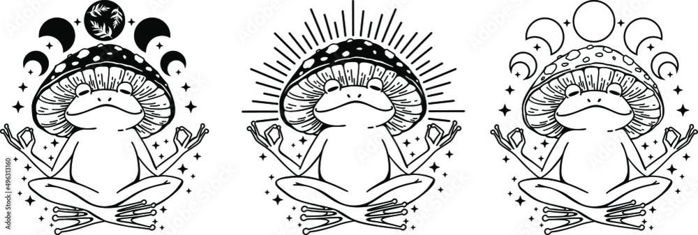 Meditating Celestial Frog, Magic toad with moon, Frog in mushroom hat ...
