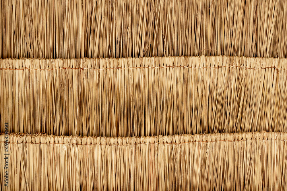 Under view of step dried nipa palm leaf that is used to make a roof. for background and textured ...