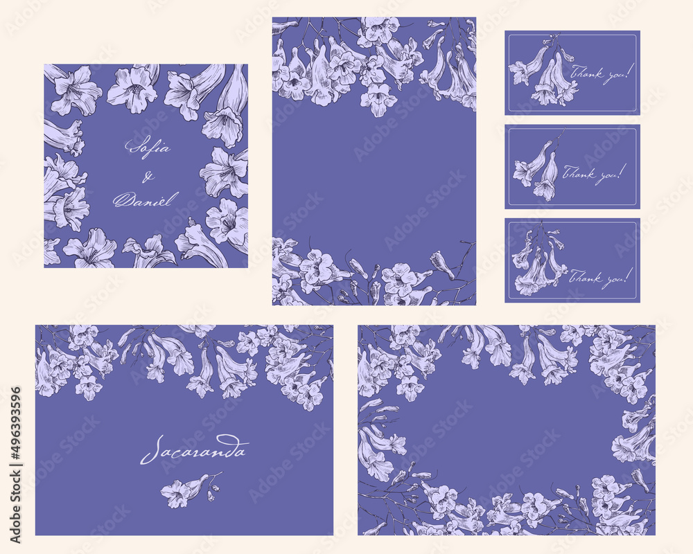 Set templates for Holidays. Blooming branches of Jacaranda tree. Light ...