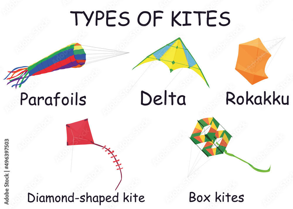 set of types of kites with names isolated on white background. multi ...