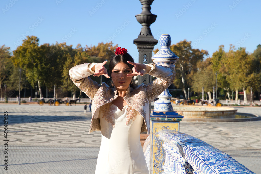 Flamenco dancer, woman, brunette and beautiful typical spanish dancer ...