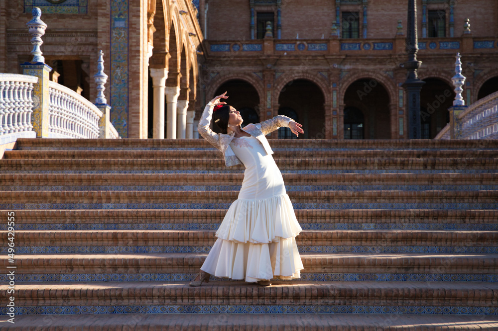 Flamenco dancer, woman, brunette and beautiful typical spanish dancer ...