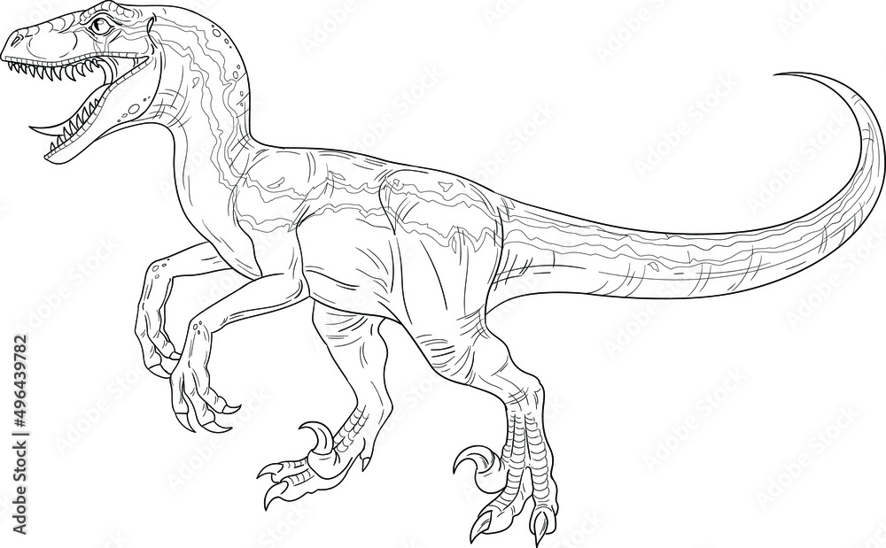 Roaring velociraptor. Jurassic period carnivorous dinosaur. Vector ...